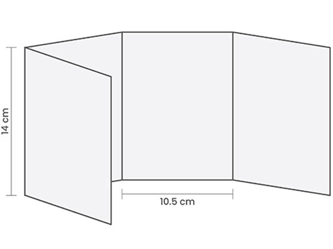 Tri Fold Poster Size